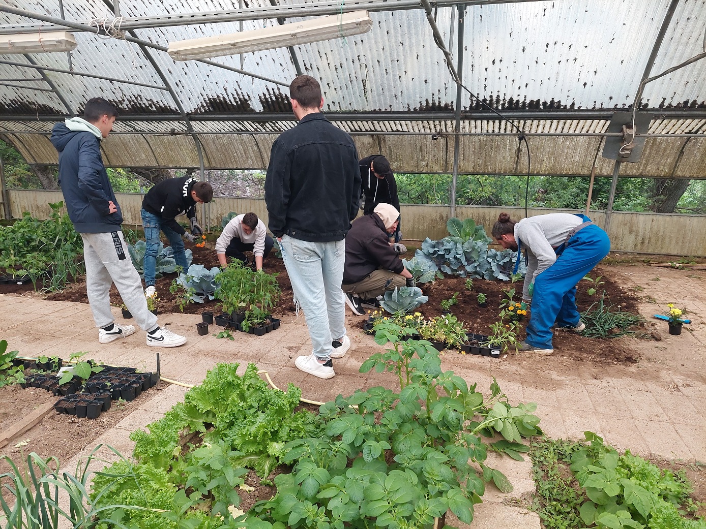 Carbon farming schools: Μαθητές γνώρισαν τη βιώσιμη γεωργία με την ...